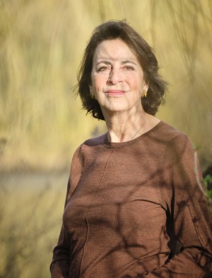 Tien jaar ReulingSchutte: zendelingen van mediation - Advocatie